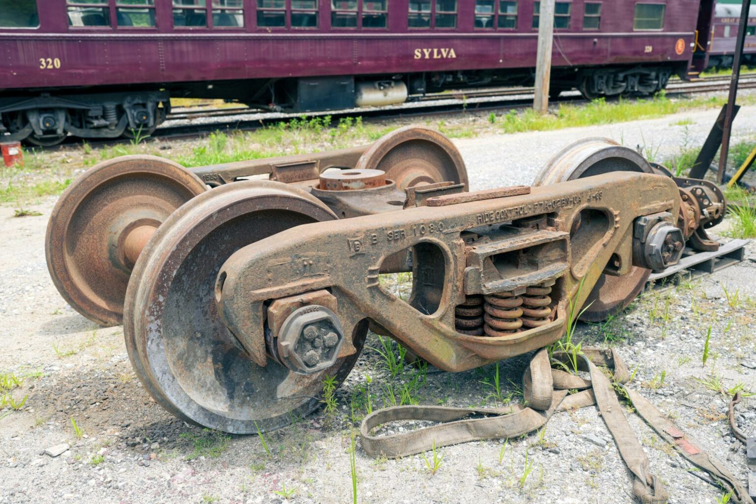 Crane Days of Summer | Great Smoky Mountains Railroad