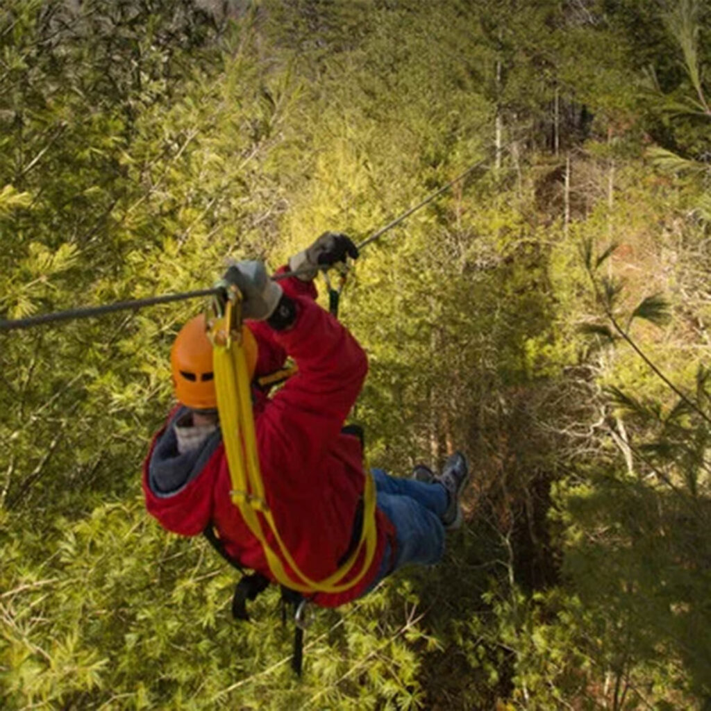 Tickets | Great Smoky Mountains Railroad